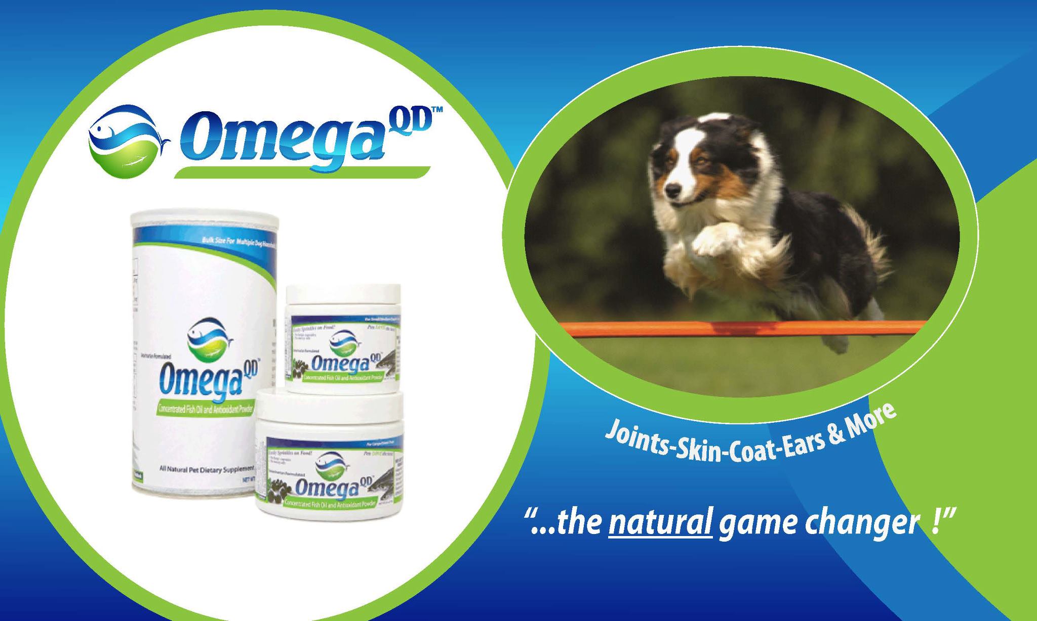 Synergy Veterinary Care – Holistic | Acupuncture | Therapeutic ...